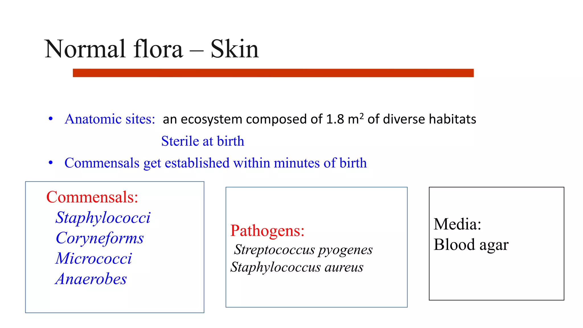 Commensal and pathogens | PPTX