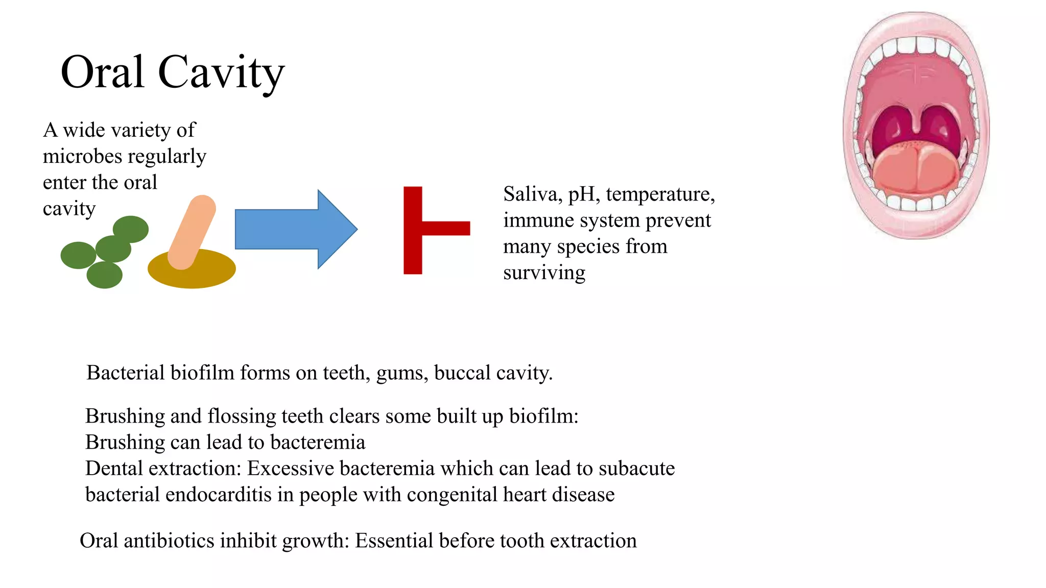 Commensal and pathogens | PPTX