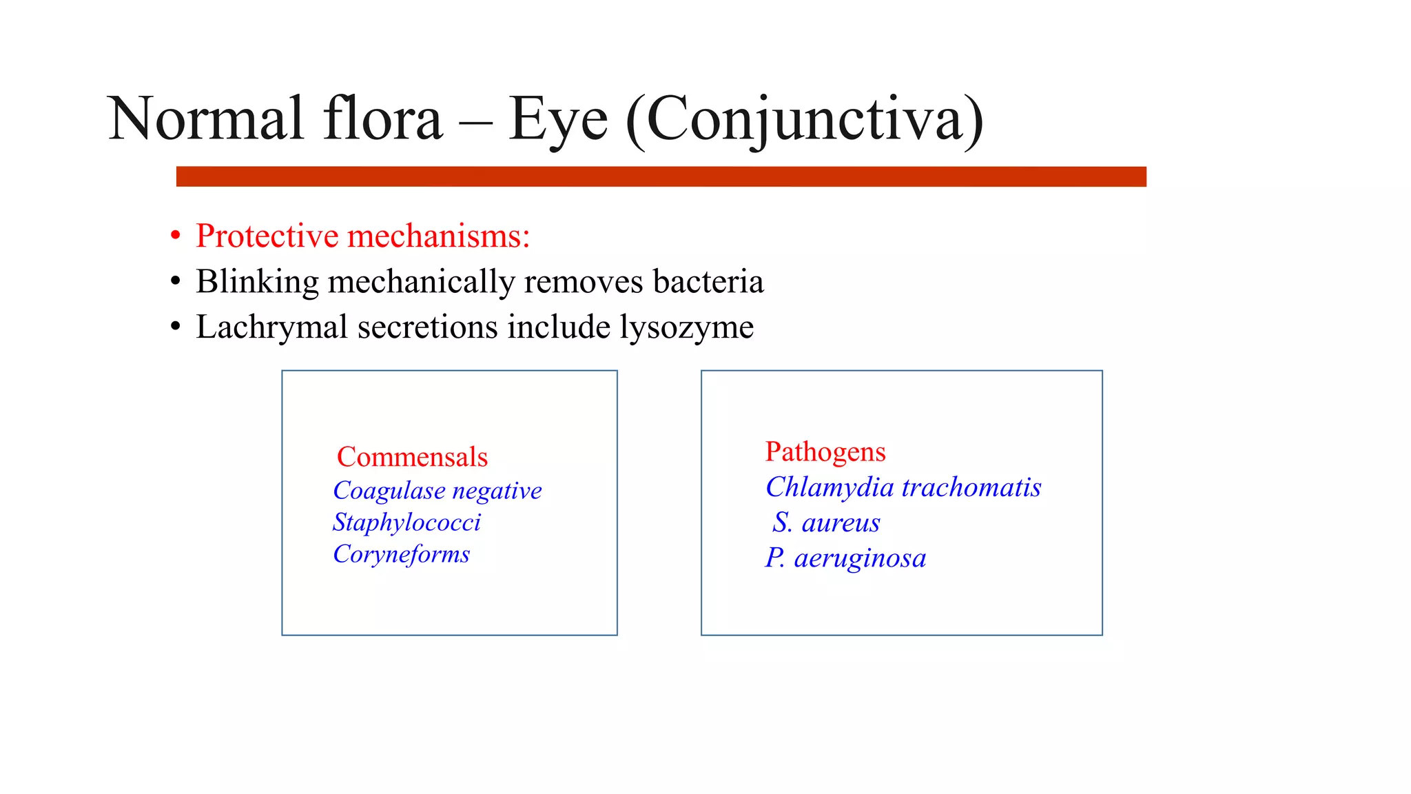 Commensal and pathogens | PPTX