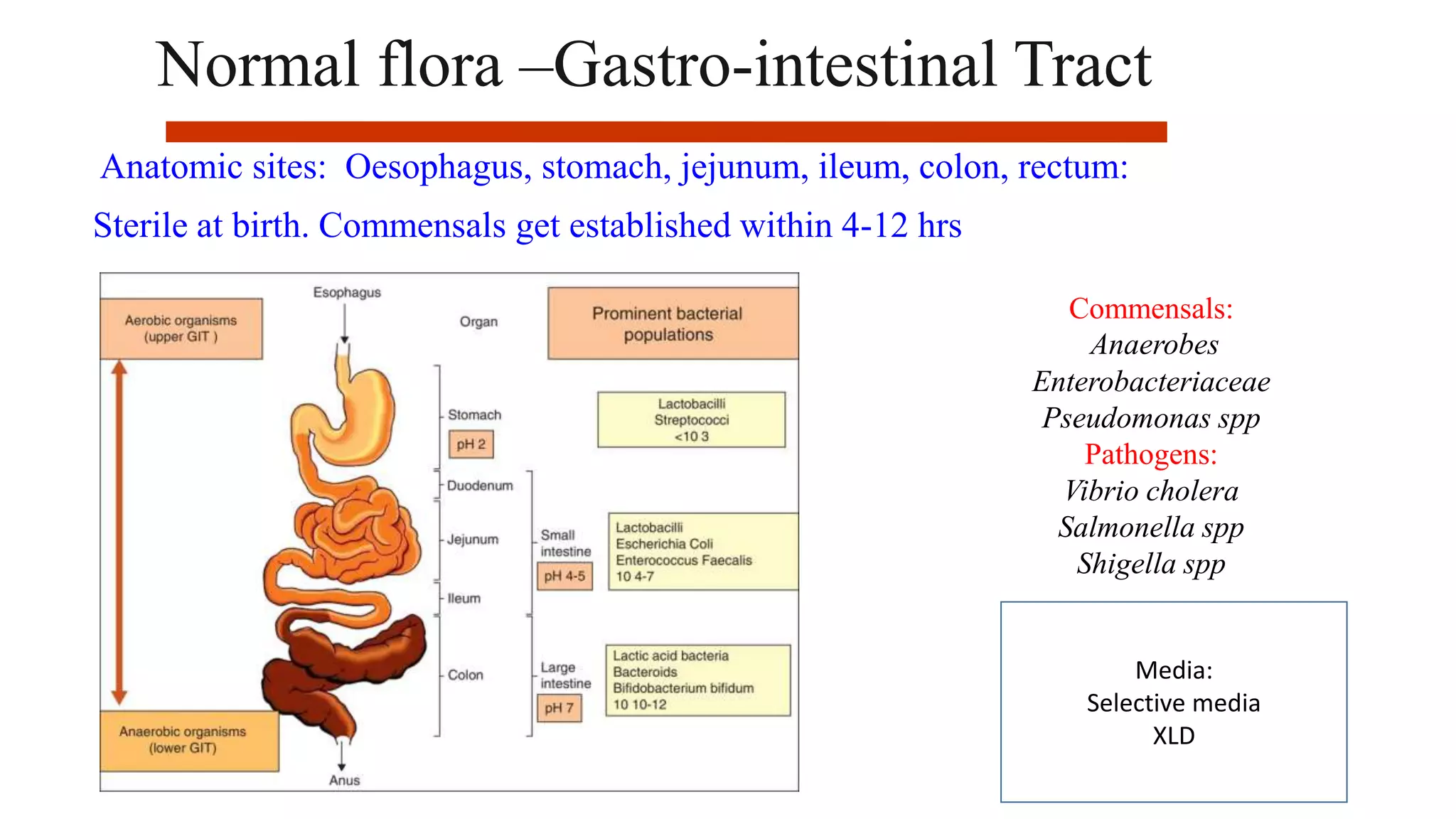 Commensal and pathogens | PPTX
