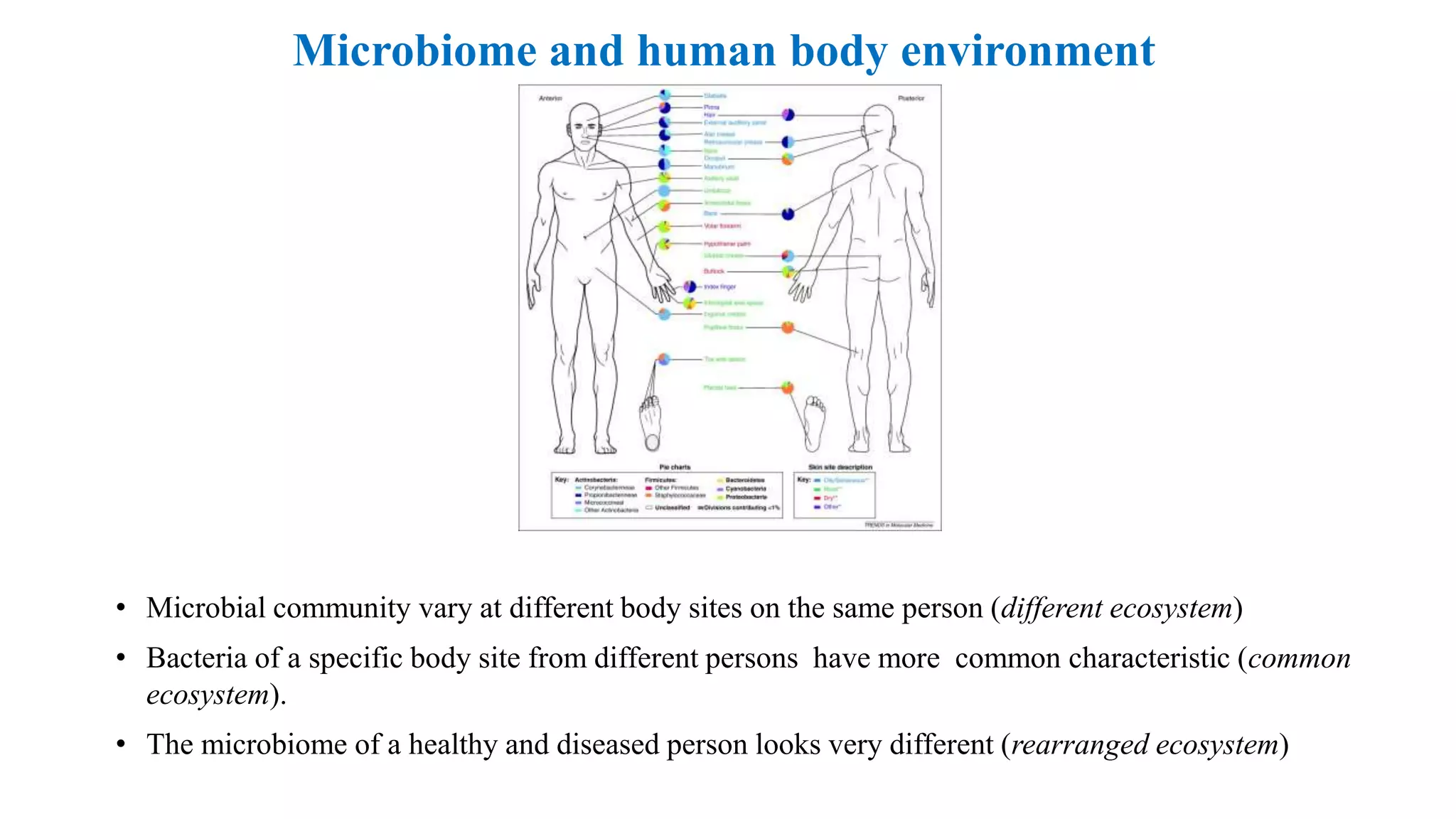 Commensal and pathogens | PPTX