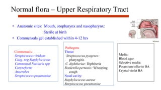 Commensal and pathogens | PPTX