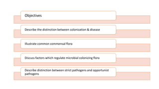 Commensal and pathogens | PPTX