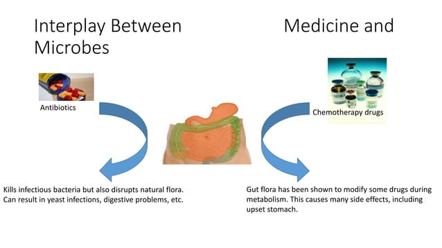 Commensal and pathogens | PPTX