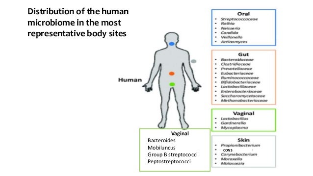 Normal commensal flora: applied importance