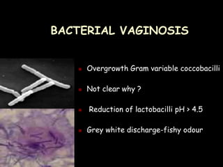 Normal Microbial Flora | PPT