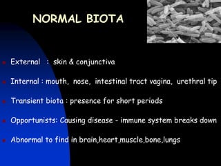 Normal Microbial Flora | PPT