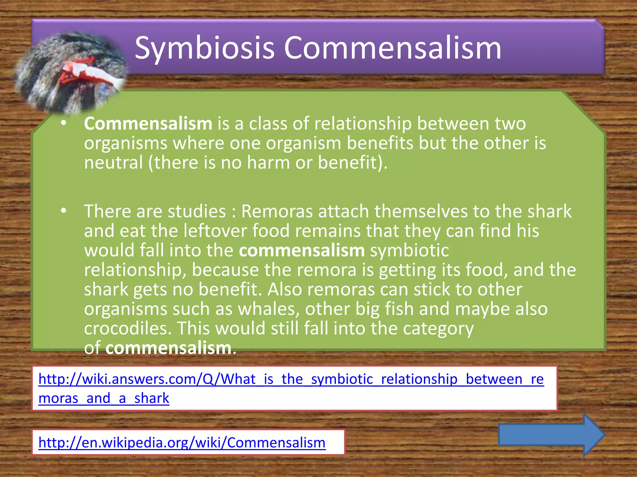 Commensalism | PPTX