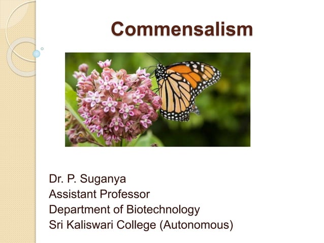 Commensalism | PPTX | Biological Sciences | Science