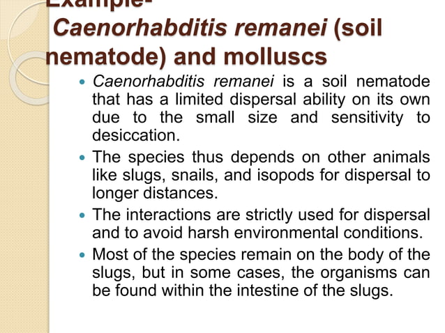 Commensalism | PPTX | Biological Sciences | Science