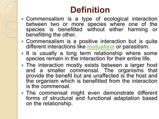 Commensalism | PPTX