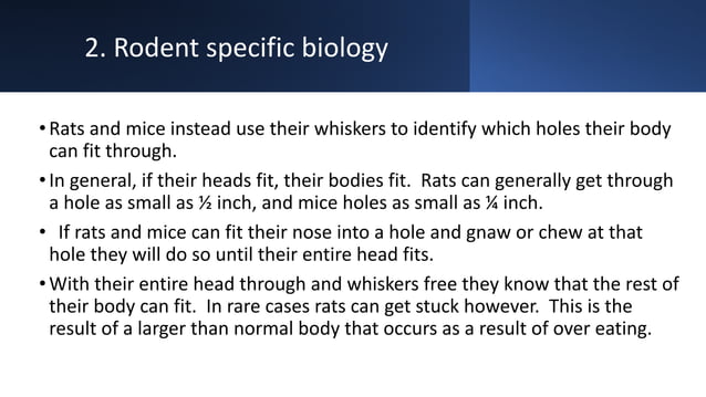 Commensel Rodents.pptx.pdf