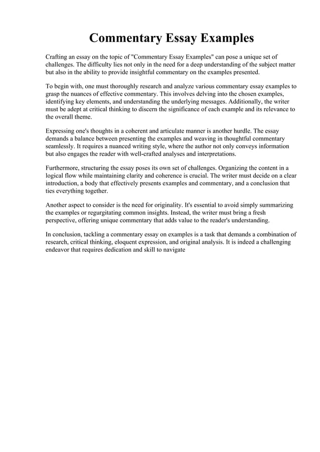 Commentary Essay Examples | PDF