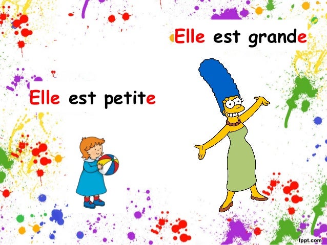 Comment est-il? Comment est-elle?