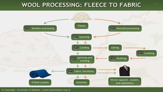 Types of Industries | PPTX