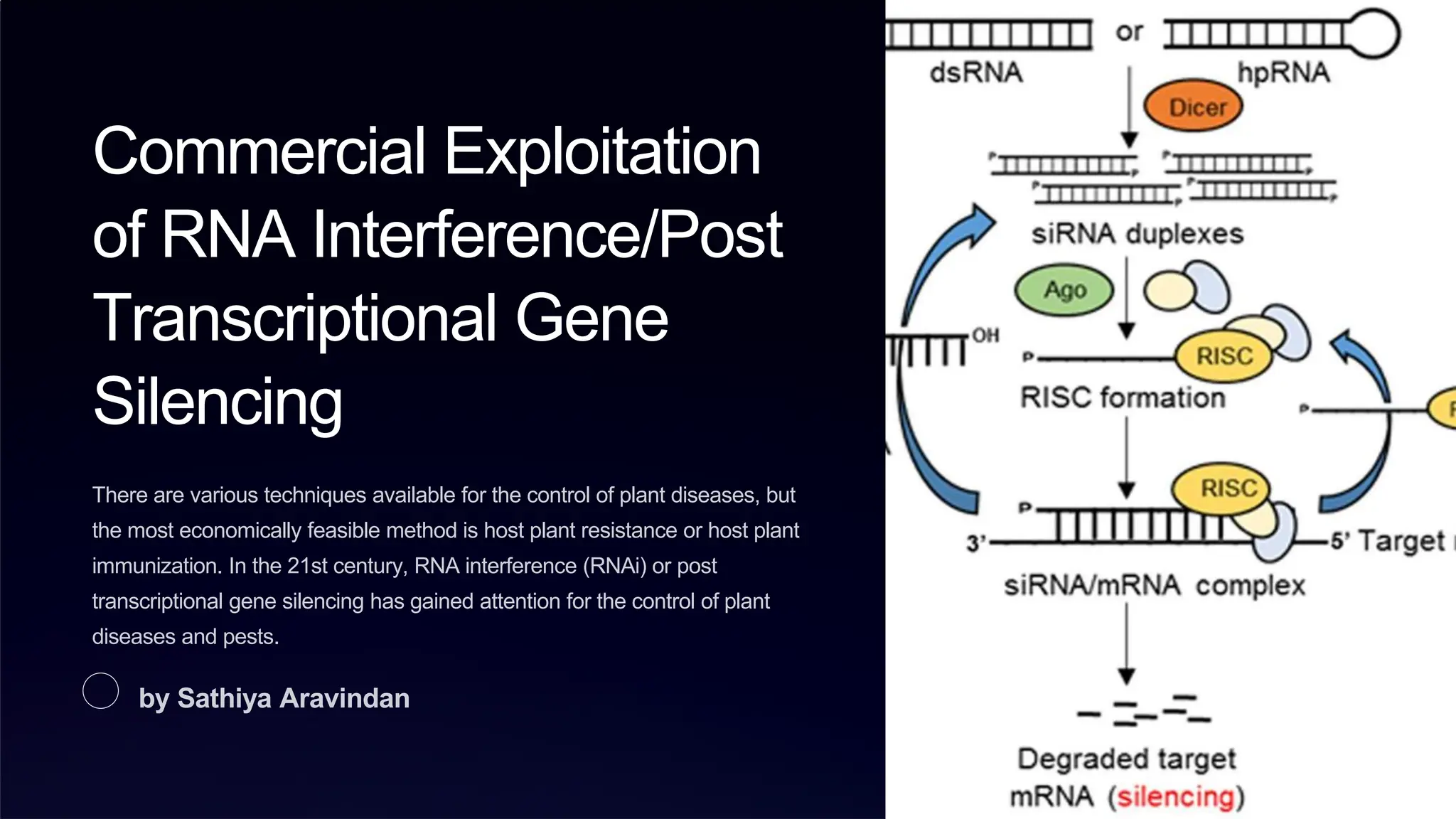 Commercial-Exploitation-of-RNA-Interference/Post-Transcriptional-Gene ...