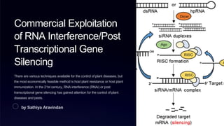 Commercial-Exploitation-of-RNA-Interference/Post-Transcriptional-Gene-Silencing.pptx