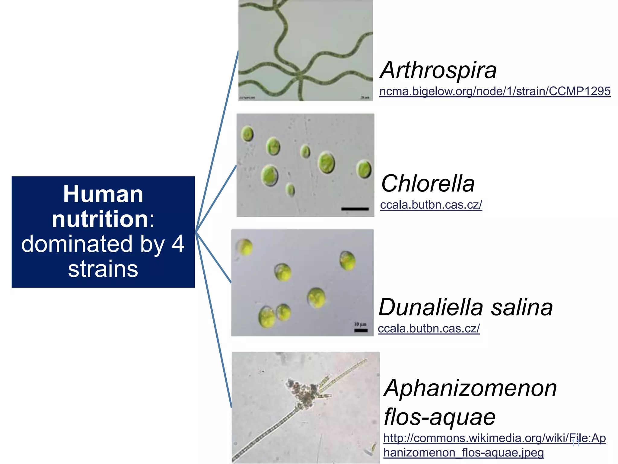 Commercial applications of microalgae | PPTX