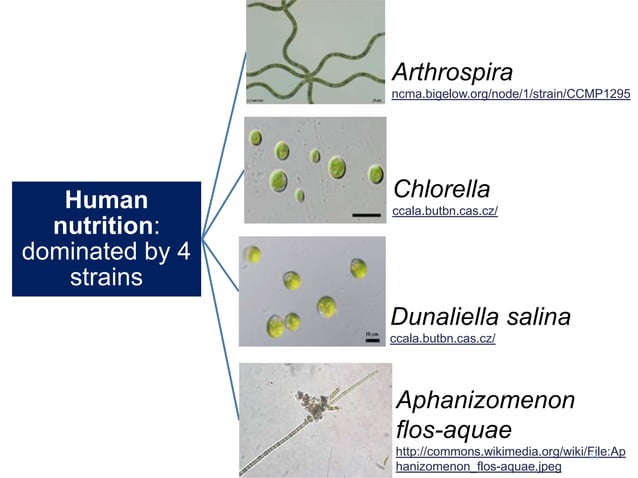 Commercial applications of microalgae | PPTX | Chemistry | Science