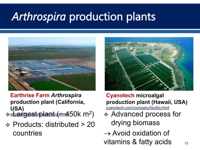 Commercial applications of microalgae | PPTX | Chemistry | Science
