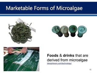 Commercial applications of microalgae | PPTX