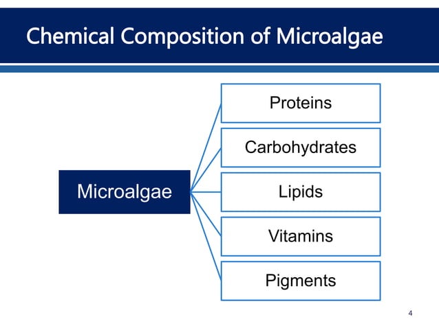 Commercial applications of microalgae | PPTX | Chemistry | Science