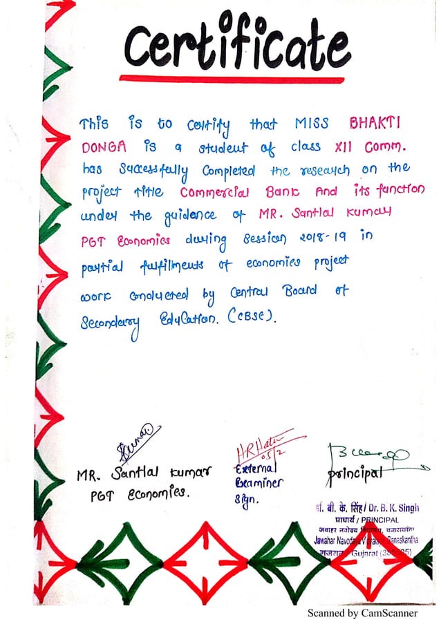 Commercial Bank and its Functions - Economics Class 12 Project | PDF