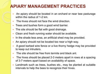 Commercial bee keeping | PPTX