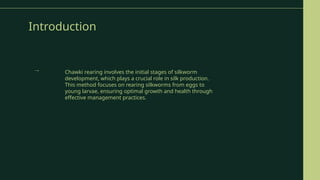 Commercial Chawki Rearing.pptx skfk3bzldkirbe | PPTX