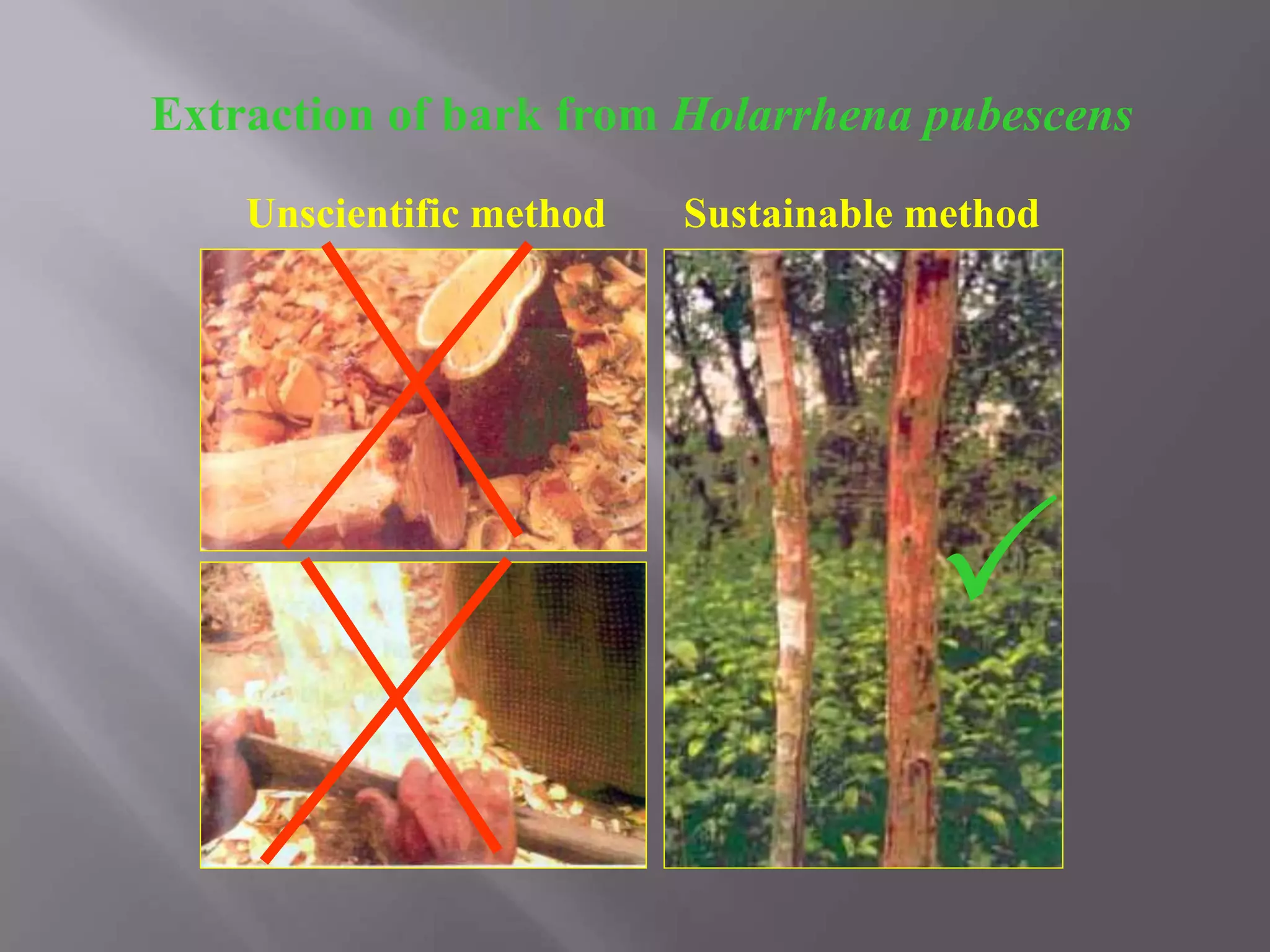 Commercial cultivation, scientific harvesting and preservation of ...
