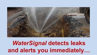 WaterSignal Commercial Demo | PPT