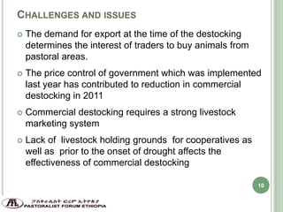 Commercial destocking in Pastoral community of Borena | PPT