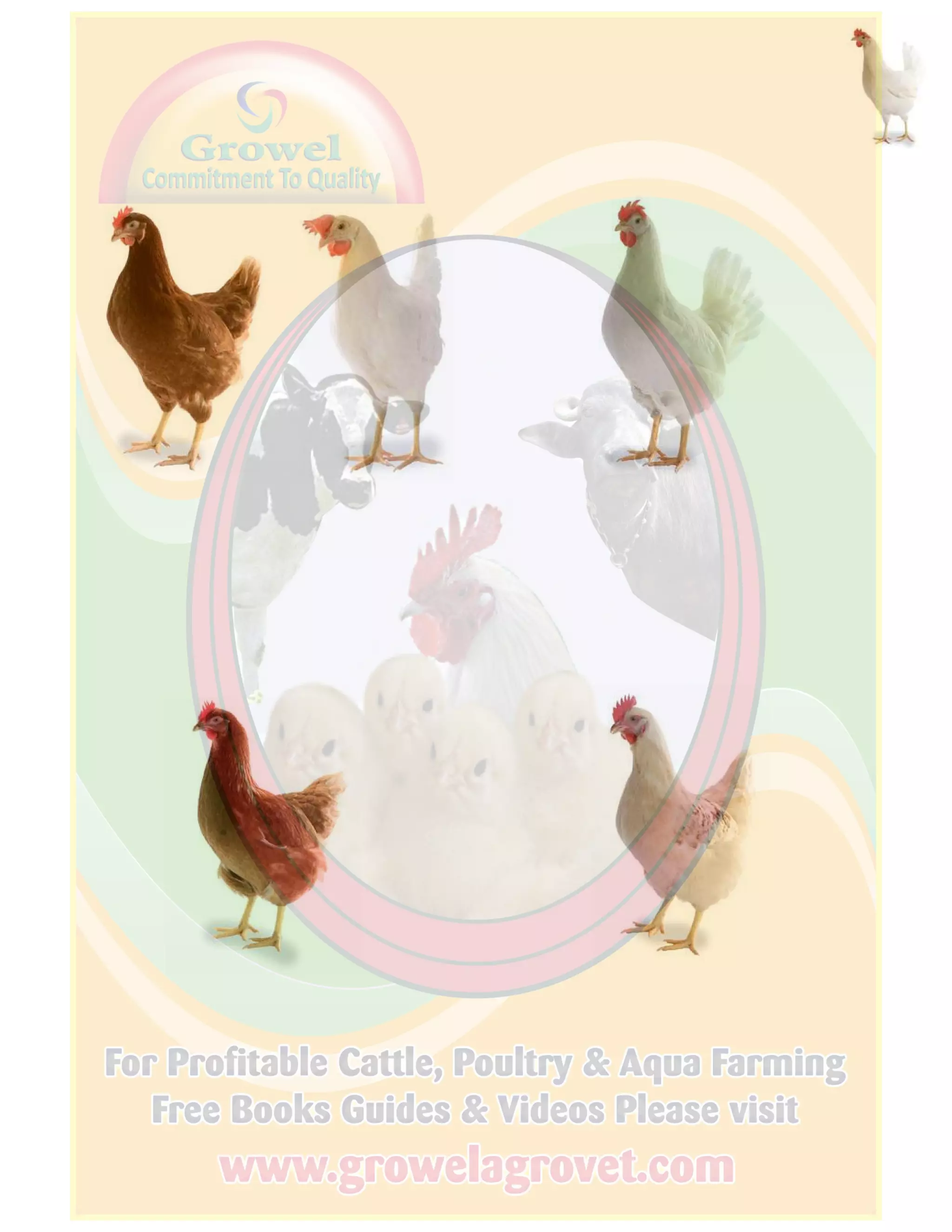 Commercial Egg Production Guide | PDF