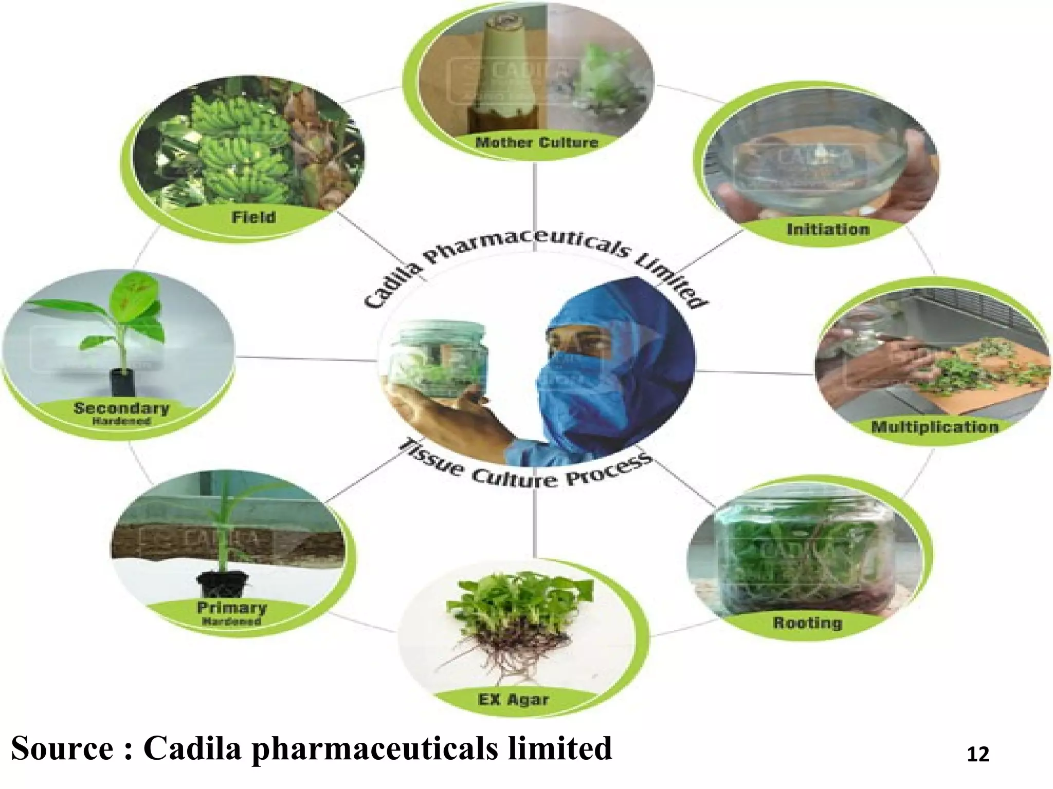 Commercial exploitation of micropropagation& its tech in fruit crops | PPT