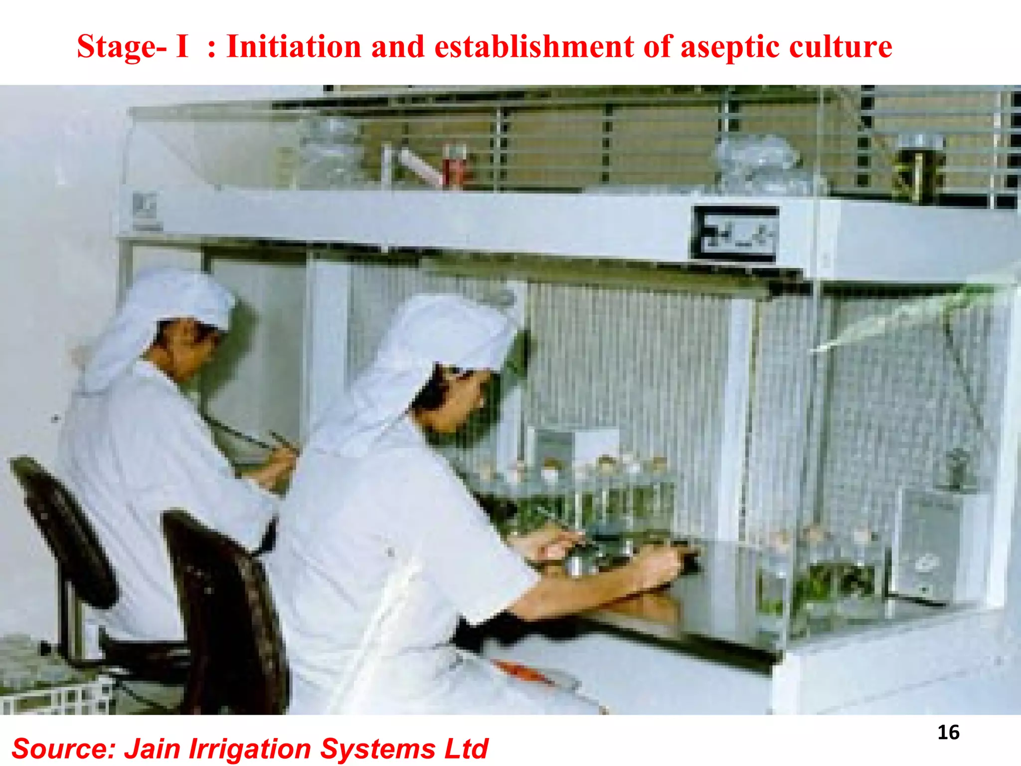 Commercial exploitation of micropropagation& its tech in fruit crops | PPT