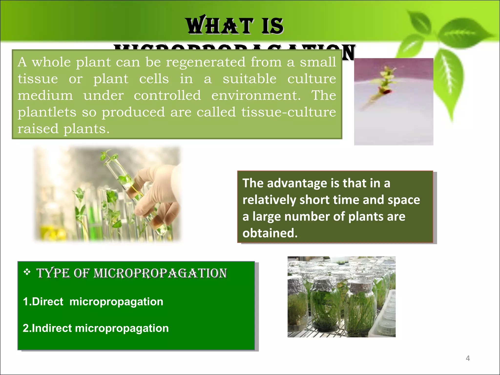 Commercial exploitation of micropropagation& its tech in fruit crops | PPT