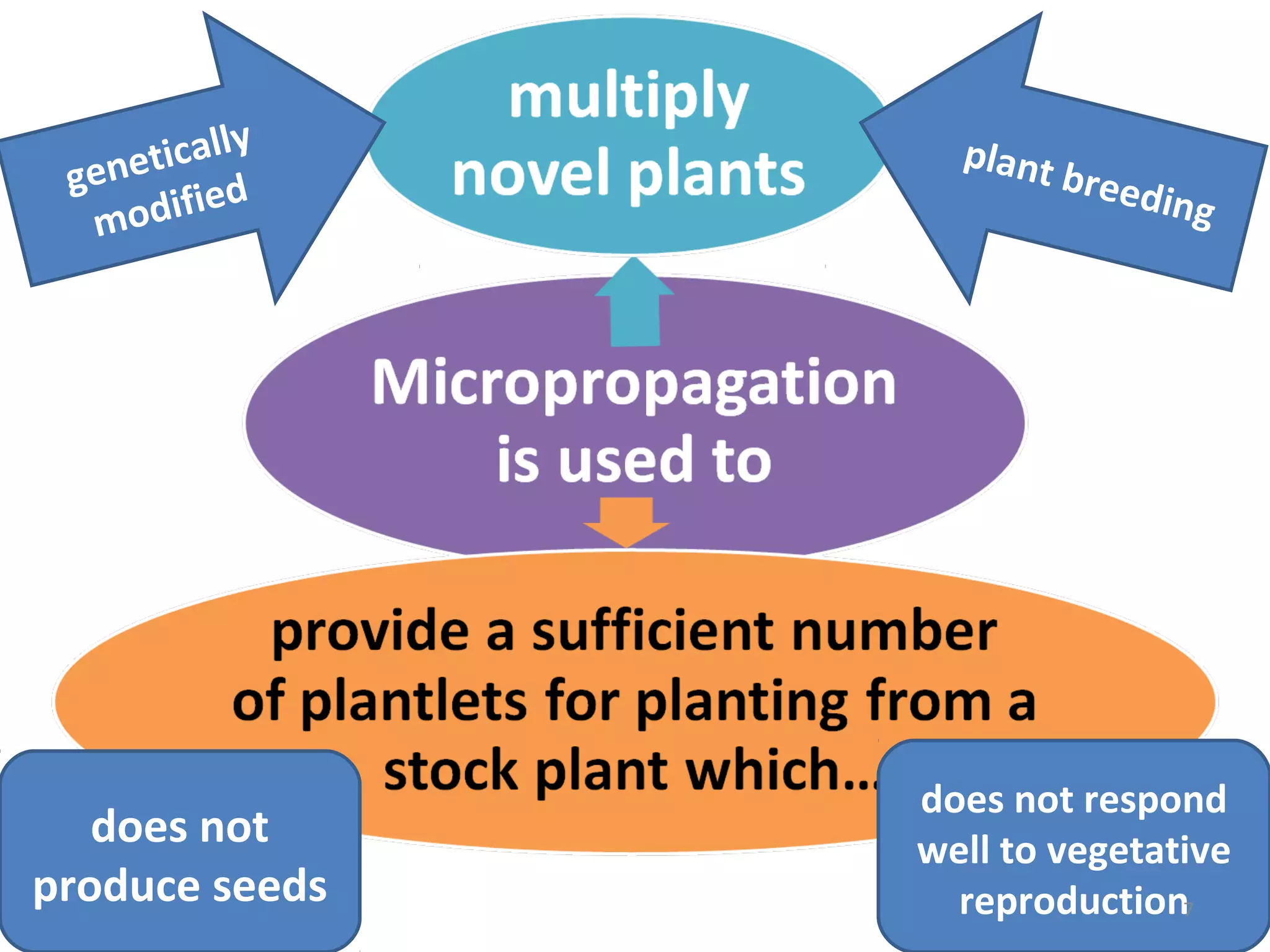 Commercial exploitation of micropropagation& its tech in fruit crops | PPT