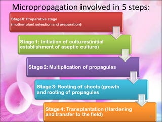 Commercial exploitation of micropropagation& its tech in fruit crops | PPT