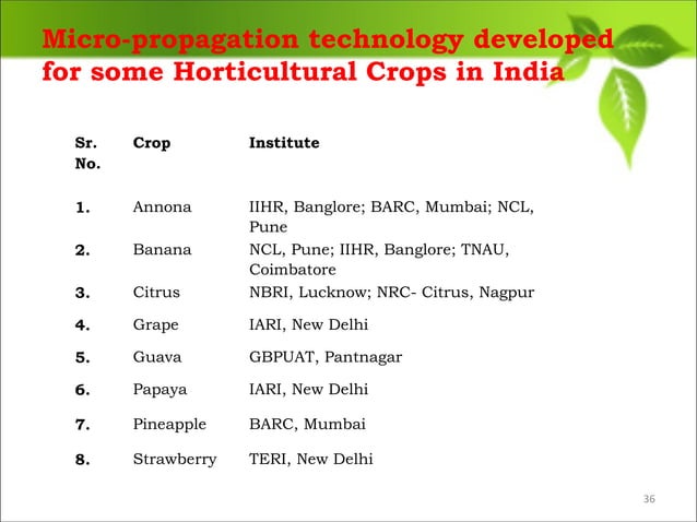 Commercial exploitation of micropropagation& its tech in fruit crops | PPT
