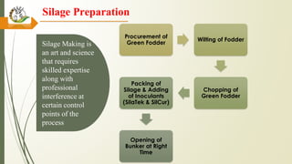 Commercial fodder processing.pptx