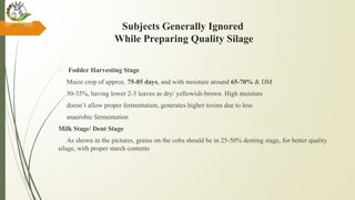 Commercial fodder processing.pptx