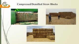 Commercial fodder processing.pptx
