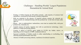 Commercial fodder processing.pptx