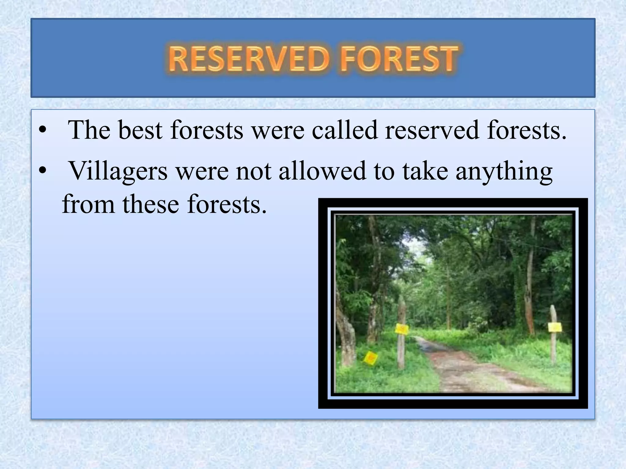 Commercial forestry | PPTX