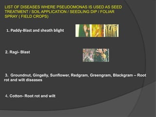 Commercial formulations of pseudomonas | PPTX