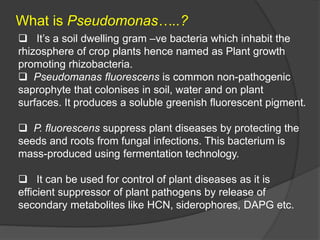 Commercial formulations of pseudomonas | PPTX