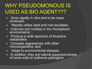 Commercial formulations of pseudomonas | PPTX