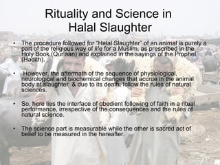 Commercial halal slaughter –science and religion | PPT