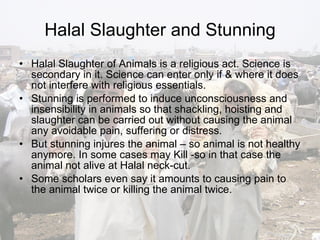 Commercial halal slaughter –science and religion | PPT | Free Download