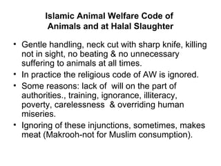 Commercial halal slaughter –science and religion by hamid ahmad | PPT